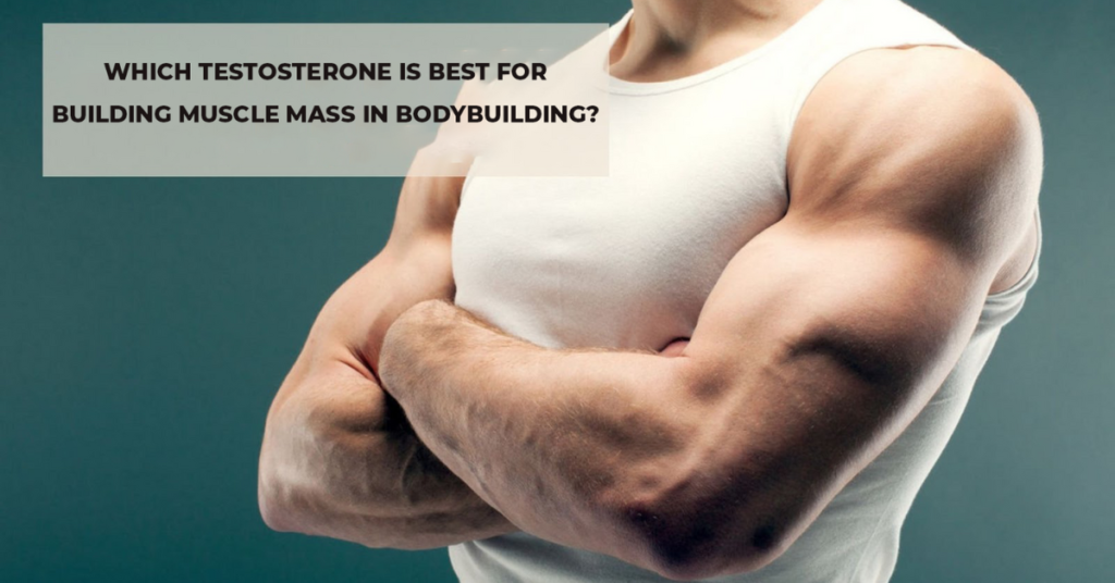 Which Testosterone Is Best For Building Muscle Mass In Bodybuilding?